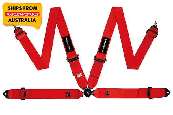 RACEWORKS 4POINT FIA/SFI SAFETY HARNESSES – Autoignite NZ